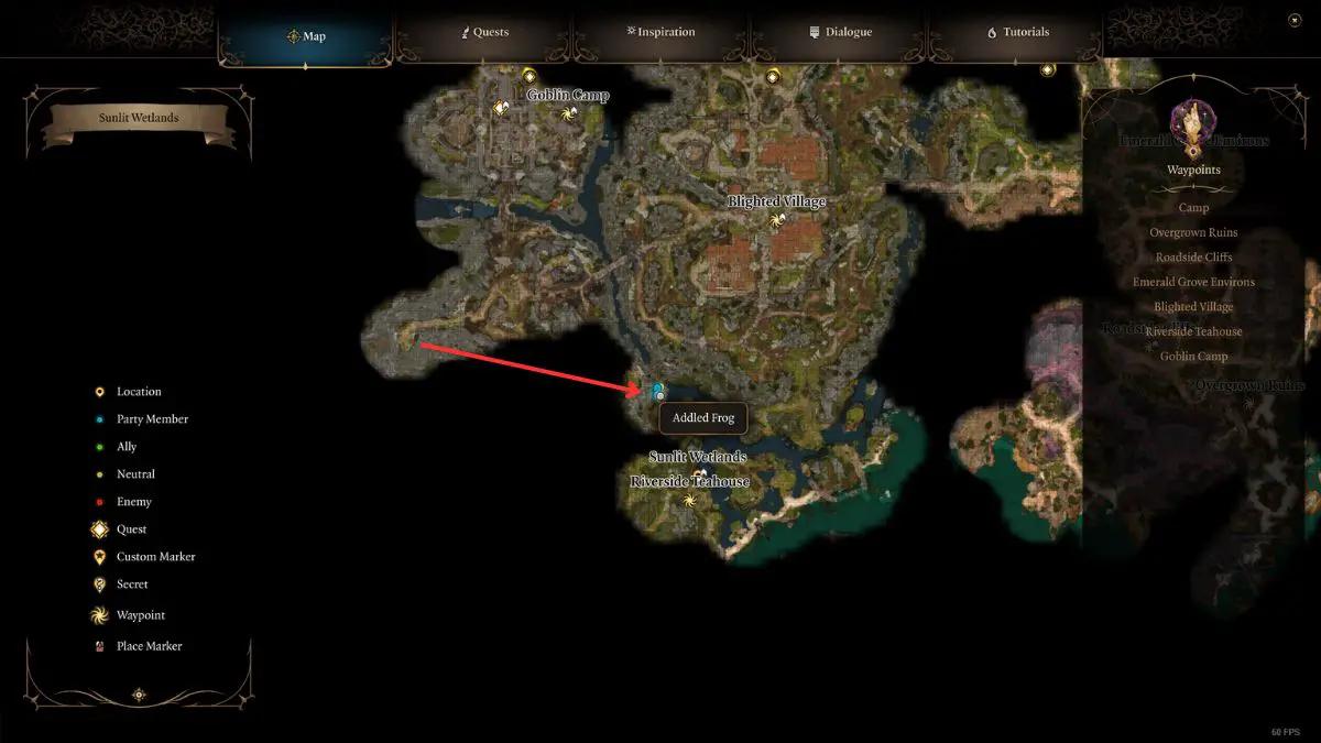 What to do with the Addled Frog in Baldur's Gate 3 - Game Sandwich