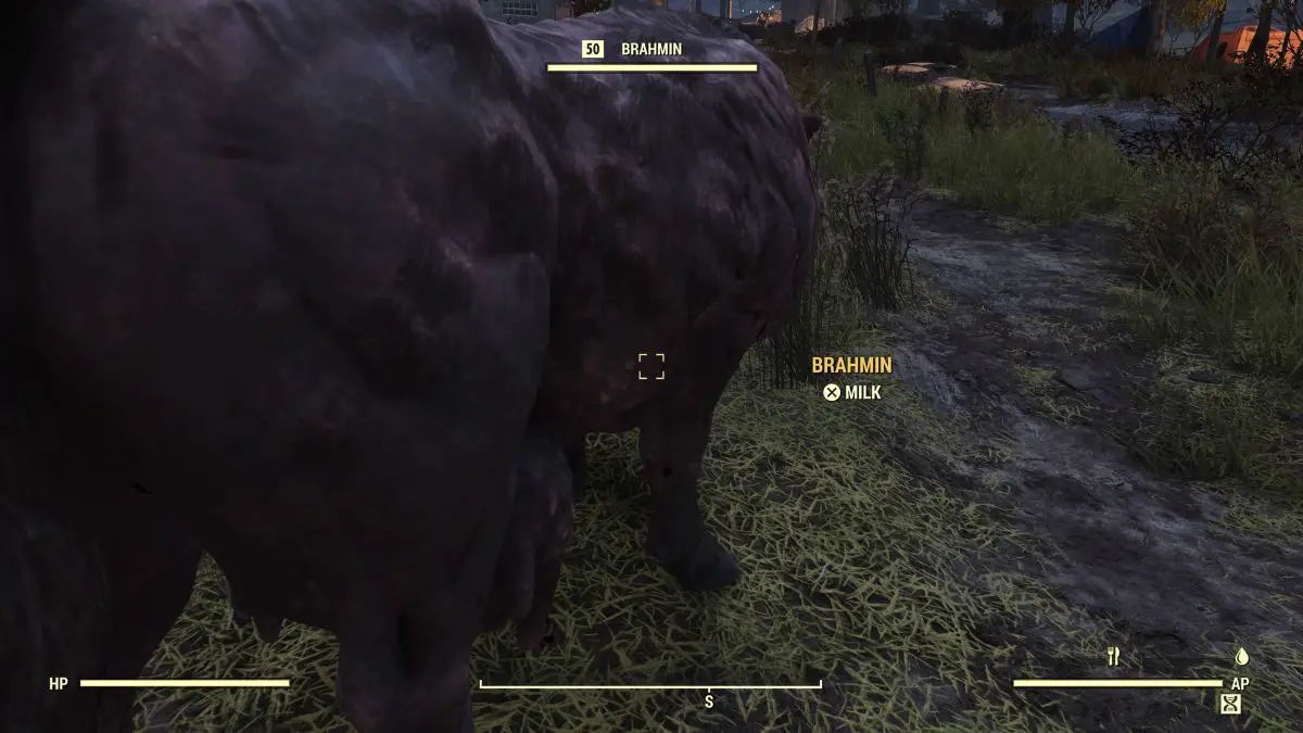 How to milk Brahmin in Fallout 76 - Game Sandwich